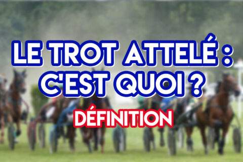 Tous les slogans de la FDJ de 1977 à aujourd'hui