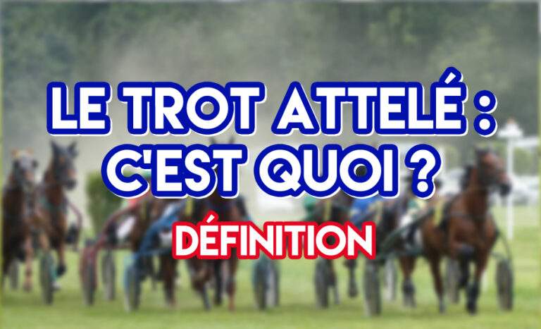 Le trot attelé : qu'est-ce que c'est ? | Jeux Mise